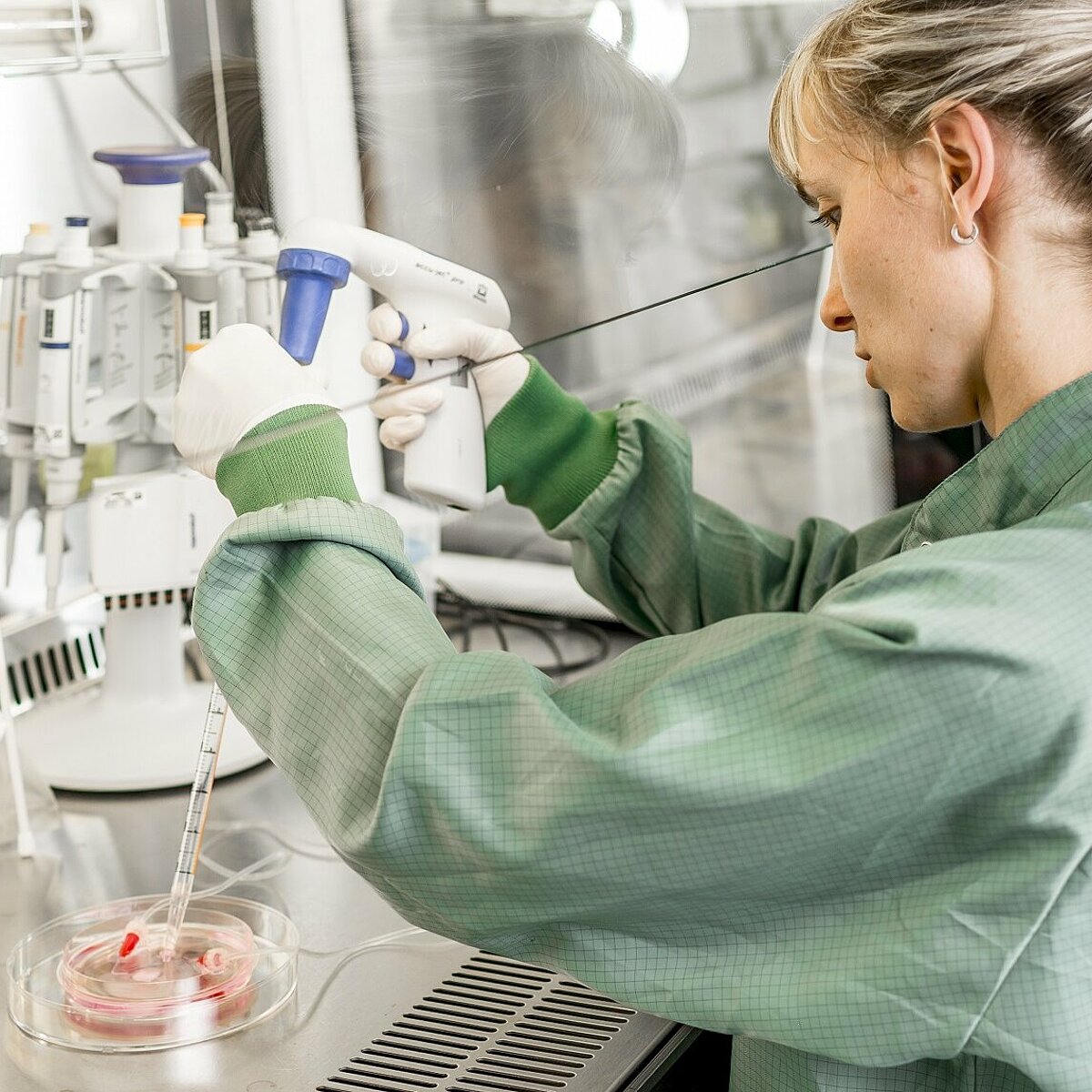 Tissue Engineering - FILK Freiberg Institute gGmbH