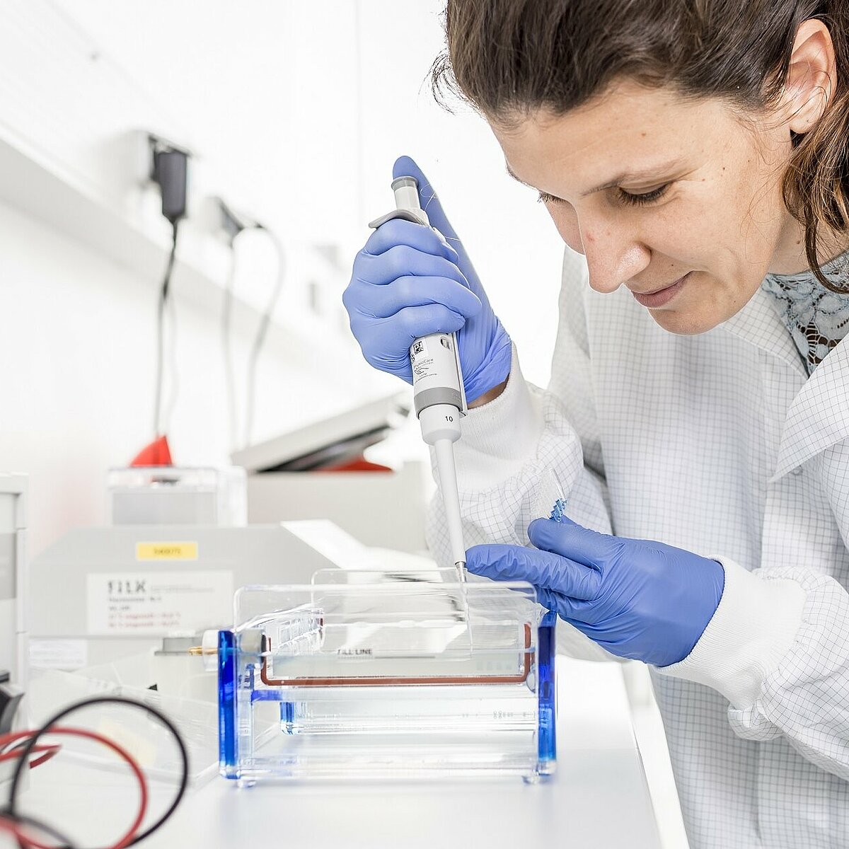Genetics and species identification - FILK Freiberg Institute gGmbH