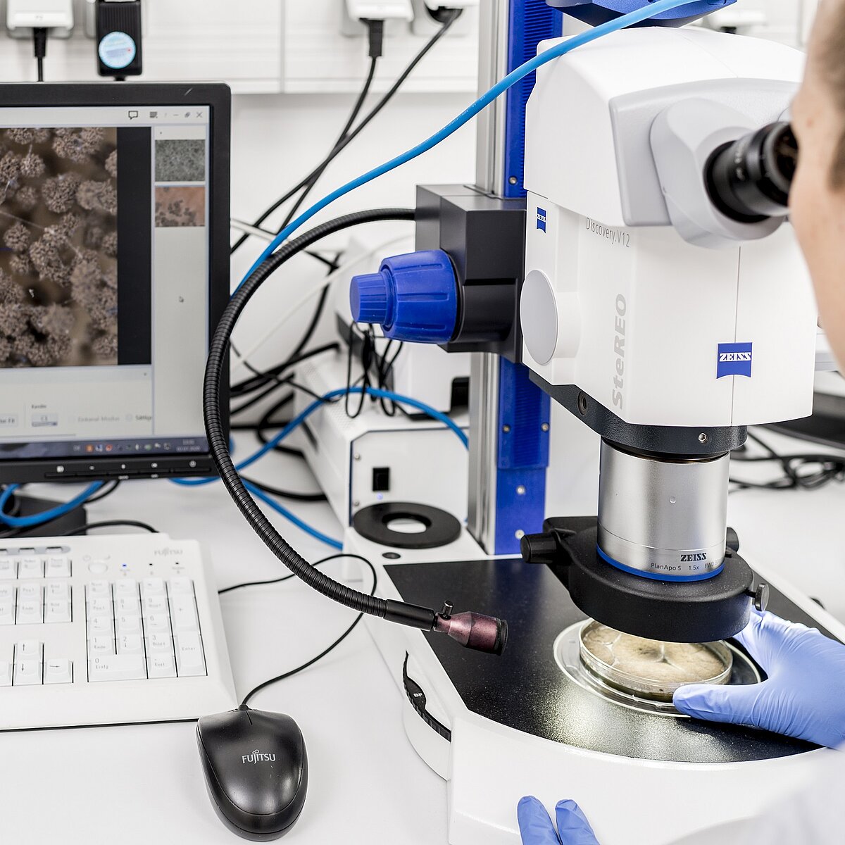 Biomaterialien und biologische Interaktionen - FILK Freiberg Institute ...