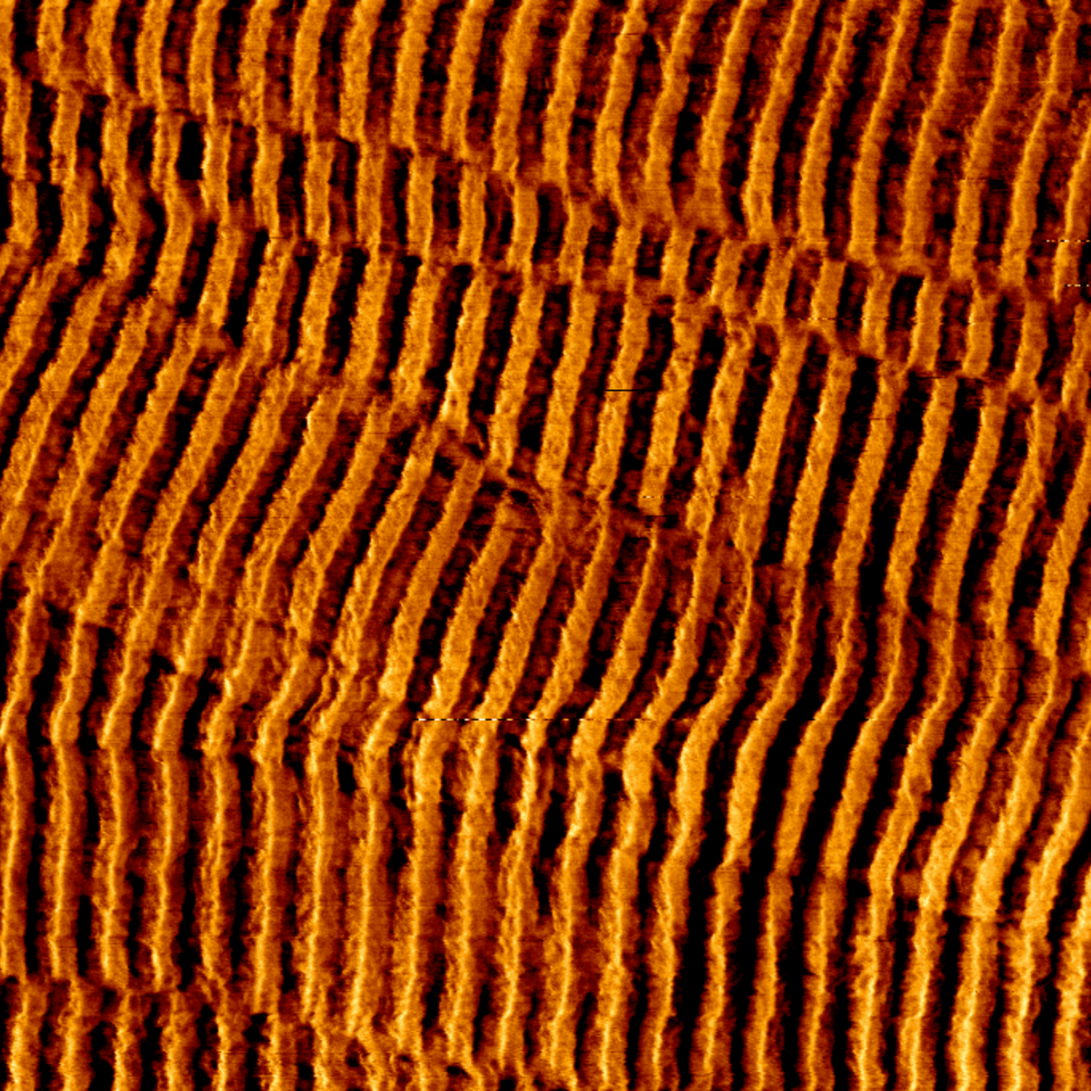 Collagen + Biogenic Materials - FILK Freiberg Institute gGmbH