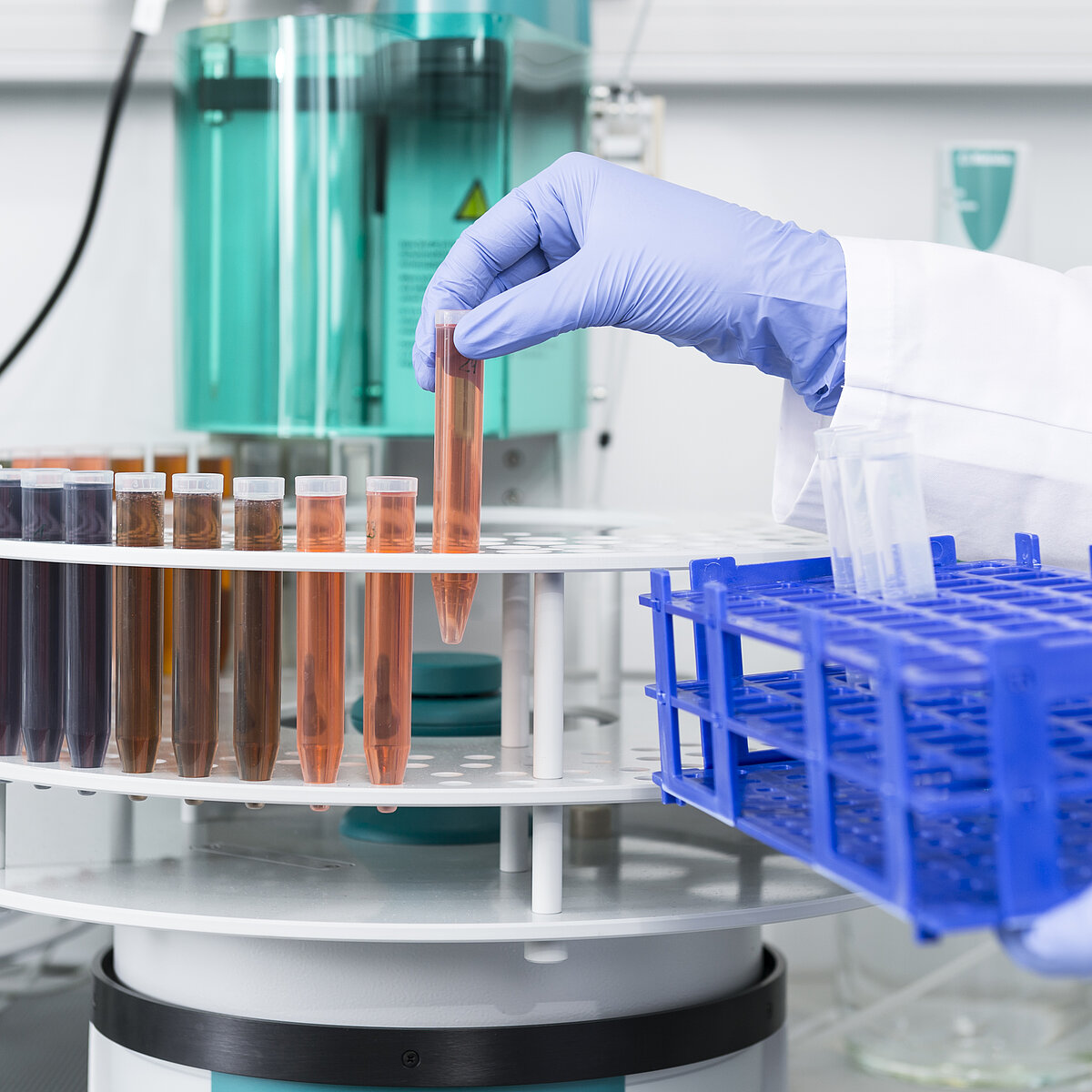 Fat according to Weibull Stoldt - FILK