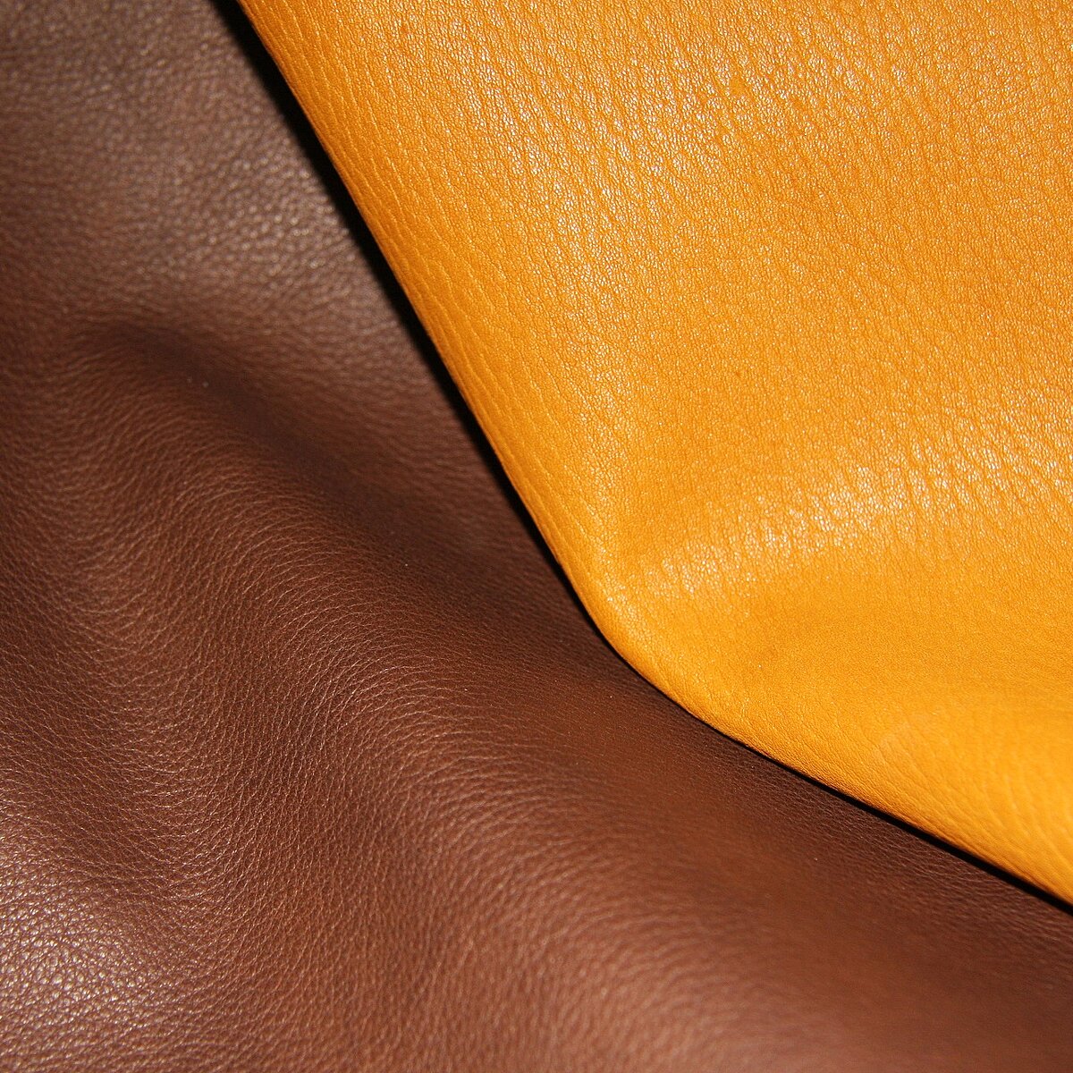 Leather and Leather Processing - FILK