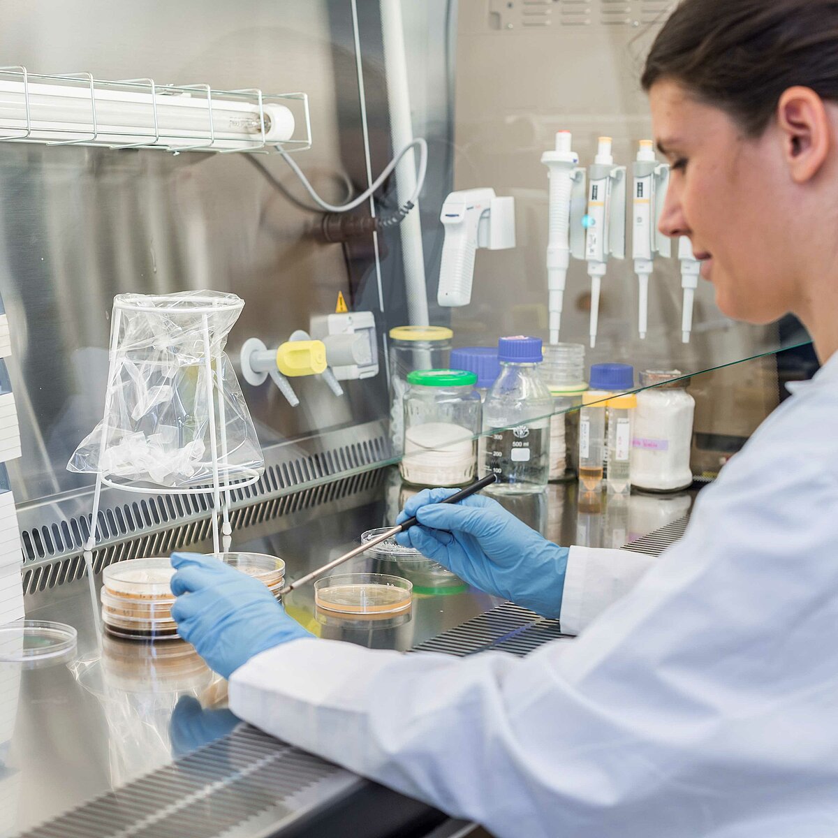 Spezialanalytik und Methodenentwicklung für die Lederprüfung - FILK Freiberg Institute gGmbH