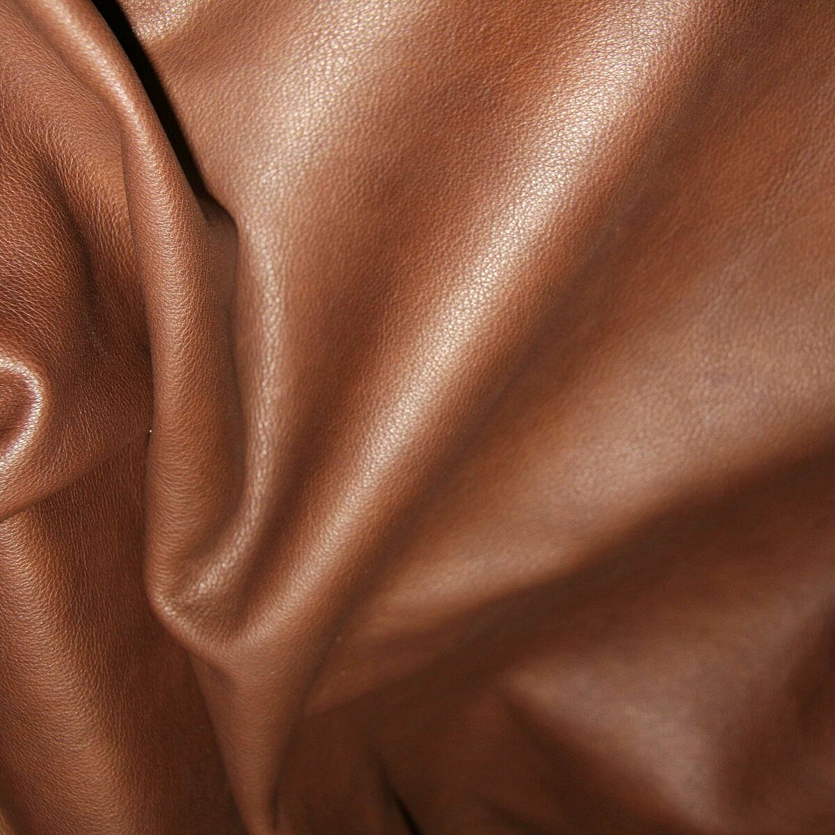 Leder + Lederfaser­werkstoffe - FILK Freiberg Institute gGmbH